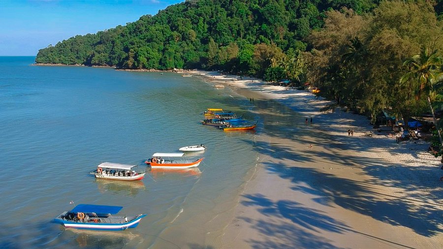 Private Charter Premium Sunset Cruise with Chorus by The Sea (Monkey ...